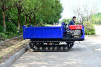 China Agricultural Machinery 3.5 Tons Crawler Tipping Truck Light Duty Hydraulic Dumping Diesel Engine Powered for sale