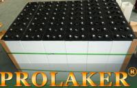 China Screw Connection Electric Forklift Battery Replacement 198mm Width 5PzS750 for sale