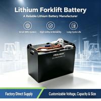 China High‑capacity safe lithium‑ion battery, equipped with reliable built‑in BMS protection system, maintenance‑free & long service life, compatible with most forklift brands for sale