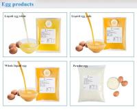 China 200-2000L Egg Liquid Separator/Pasteurization/Filling Line with Electric Power Source for sale