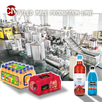 China Customized Optional Mango Juice Filling Machines Complete Line with 1000lph Capacity for sale
