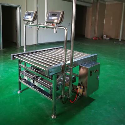 China Margarine Press Make Machine for Frozen and Chilled Process Hnoc Cheese Production Line for sale