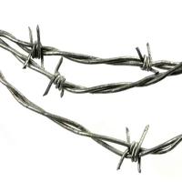 China Sell High-quality Good Price Strong Reinforced 2 Strand 4 Point Galvanised Steel Barbed Drop Wire For Sale for sale
