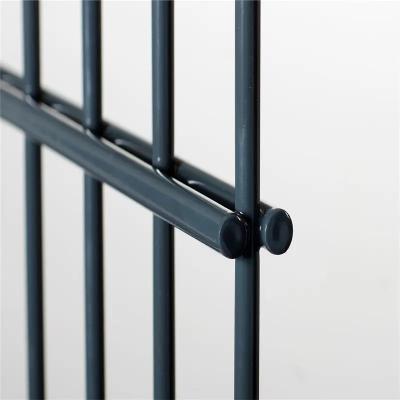 China High Quality Hot Sales Powder Coated Double Welded Wire Mesh Farm Fence for sale