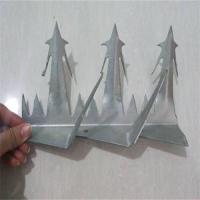 China 1m Length Large Sized 5m bird pigeon stainless steel wall fence spikes wall spikes for pidgins For Security for sale