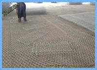 China Professional Manufacturer Heavy Stainless Steel Hexagonal Gabion Wire Mesh for sale