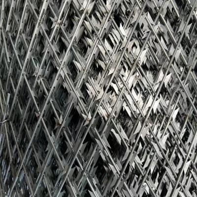 China High Quality Welded Razor Barbed Wire Mesh for Sale for sale