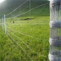 China Easily Assembled Sustainable High Tensile Strength Galvanized Deer  Fence Cattle Wire Mesh Field Fencing for sale