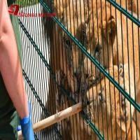 China Metal 868 656 Double Welded Wire Mesh Fencing Panels Green Color For Garden for sale
