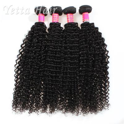 China Kinky Curly Burmese Virgin Hair Bundles 100g No Tangle Real Wavy Hair Weave 10-30 Inch for sale