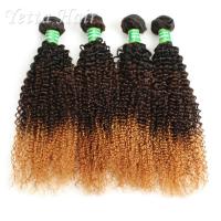 China Brazilian Virgin Hair Kinky Curly 100g 7A Three Tone Dyeable Human Hair Weave for sale