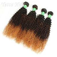 China Brazilian Virgin Hair Kinky Curly 100g 7A Three Tone Dyeable Human Hair Weave for sale