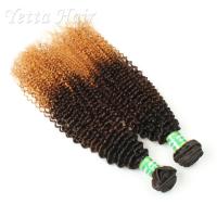 China Peruvian Virgin Hair Body Wave Kinky Curly Extensions 100g 8-40 Inch for sale