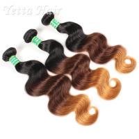 China 100% Human Hair Ombre Extensions 3 Tone Color No Tangle No Shedding 10-30 Inch 7A Grade for sale