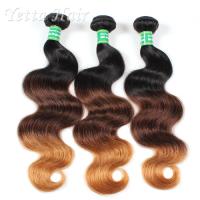 China 100% Human Hair Ombre Extensions 3 Tone Color No Tangle No Shedding 10-30 Inch 7A Grade for sale