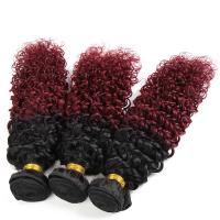China 8A Brazilian Virgin Hair Ombre Human Hair Extensions 1B 99J Kinky Curly 100g 10-30 Inch for sale