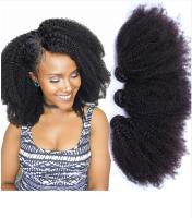 China 1B Afro Kinky Curly 100% Brazilian Virgin Hair 8-40 Inch Bouncy Soft Elasticity for sale