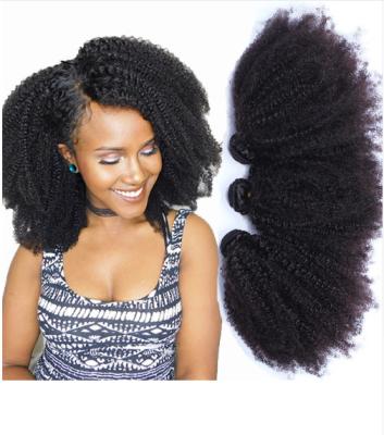 China 1B Afro Kinky Curly 100% Brazilian Virgin Hair 8-40 Inch Bouncy Soft Elasticity for sale