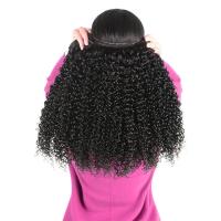 China 100% Curly Peruvian Virgin Hair Extensions 10A Grade 8-40 Inch Kinky Curly Bundles for Black Women for sale