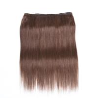 China Brown Ombre 10A Grade Virgin Human Hair Straight Weave 4x4 Closure 18 Inches for sale