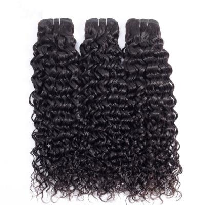 China Natural Indian Water Wave 100 Unprocessed Virgin Hair Extensions for sale