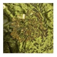 China New embroidered woven soft velvet fabric roll for sale with all over beads for sale
