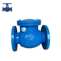 China BS5153 Metal Sealing Ductile Iron Swing Check Valve 50-300mm DN 1.6MPa PN For Water Pipeline for sale