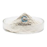 China Organic Chitosan Powder Fertilizer 80 Mesh with 90% Deacetylation Degree for Agriculture and Water Treatment for sale