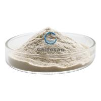 China High Molecular Weight Chitosan Powder 80 Mesh with ≥75% Deacetylation Degree and 10-200 mpa*s Viscosity for sale