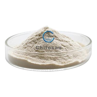 China High Molecular Weight Chitosan Powder 80 Mesh with ≥75% Deacetylation Degree and 10-200 mpa*s Viscosity for sale