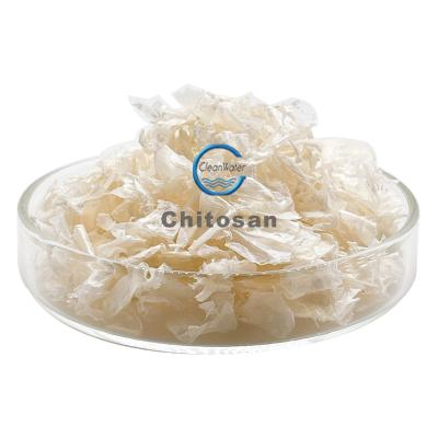 China Industrial Agricultural Grade Chitosan Powder 80 Mesh with ≥85% Deacetylation Degree for Water Treatment and Agriculture for sale