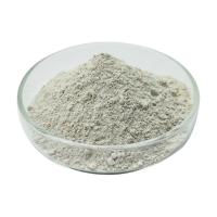 China Denitrification Bacteria Agent 20 Billion CFU/g for Municipal and Industrial Wastewater Treatment for sale