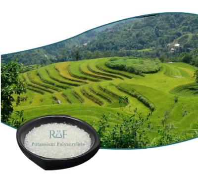 China Agriculture Grade Potassium Polyacrylate Super Absorbent Polymer SAP 10-80 Mesh with 410 ml/g Water Absorption for sale