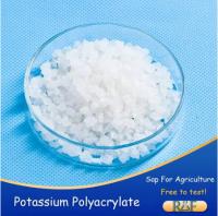China Sodium Polyacrylate Powder C3H3NaO2 - Food Grade ≥90% Purity, Water Retention ≥350 g/g for Multiple Industries for sale