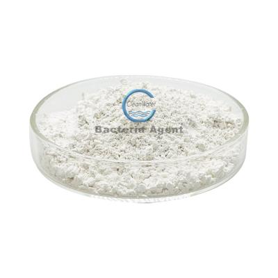 China Cleanwater Sulfur Removal Agent Bacteria Powder 25kg for Industrial Wastewater Treatment Odor Control for sale