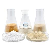 China Cleanwater Sulfur Removal Agent Bacteria Powder 25kg for Industrial Wastewater Treatment Odor Control for sale