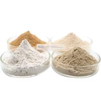 China Cleanwater Sulfur Removal Agent Bacteria Powder 25kg for Industrial Wastewater Treatment Odor Control for sale