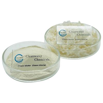 China Watersoluble Chitosan Powder 99% Purity for Wastewater Treatment - 80 Mesh Size with ≥800 mpa·s Viscosity for sale