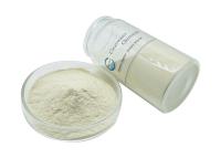 China Water Soluble Chitosan Food Additive 9012-76-4 with 80 Mesh Size and ≥75% Deacetylation Degree for sale