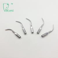 China Stainless Steel Woodpecker Ultrasonic Scaler Tips GD1 GD2 GD3 GD4 for sale