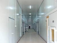 China Medical Cold Storage Panel Food Slaughtering Cold Chain Special Board Purification Board for sale