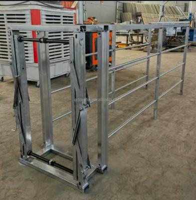 China Galvanized Steel Sheep Goat Restraint Frame | Easy Operation for Vaccination, Injection & Marking | Extendable 2m/4m Fence for sale