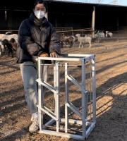 China Galvanized Steel Sheep Goat Restraint Frame | Easy Operation for Vaccination, Injection & Marking | Extendable 2m/4m Fence for sale