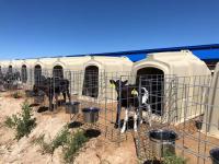 China Outdoor Calf Hutch Calf Pen for sale