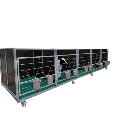 China Five-Stall Linked Calf Pen for sale