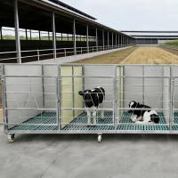 China Five-Stall Linked Calf Pen for sale
