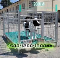 China Single Calf Pen / Calf Hutch A for sale