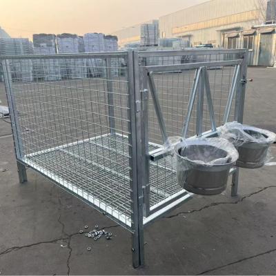 China Single Calf Pen / Calf Hutch B for sale