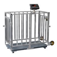China Sheep Goat Weighing Scale for sale