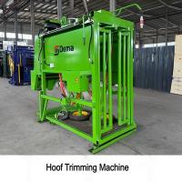 China Cow hoof trimming crush for sale